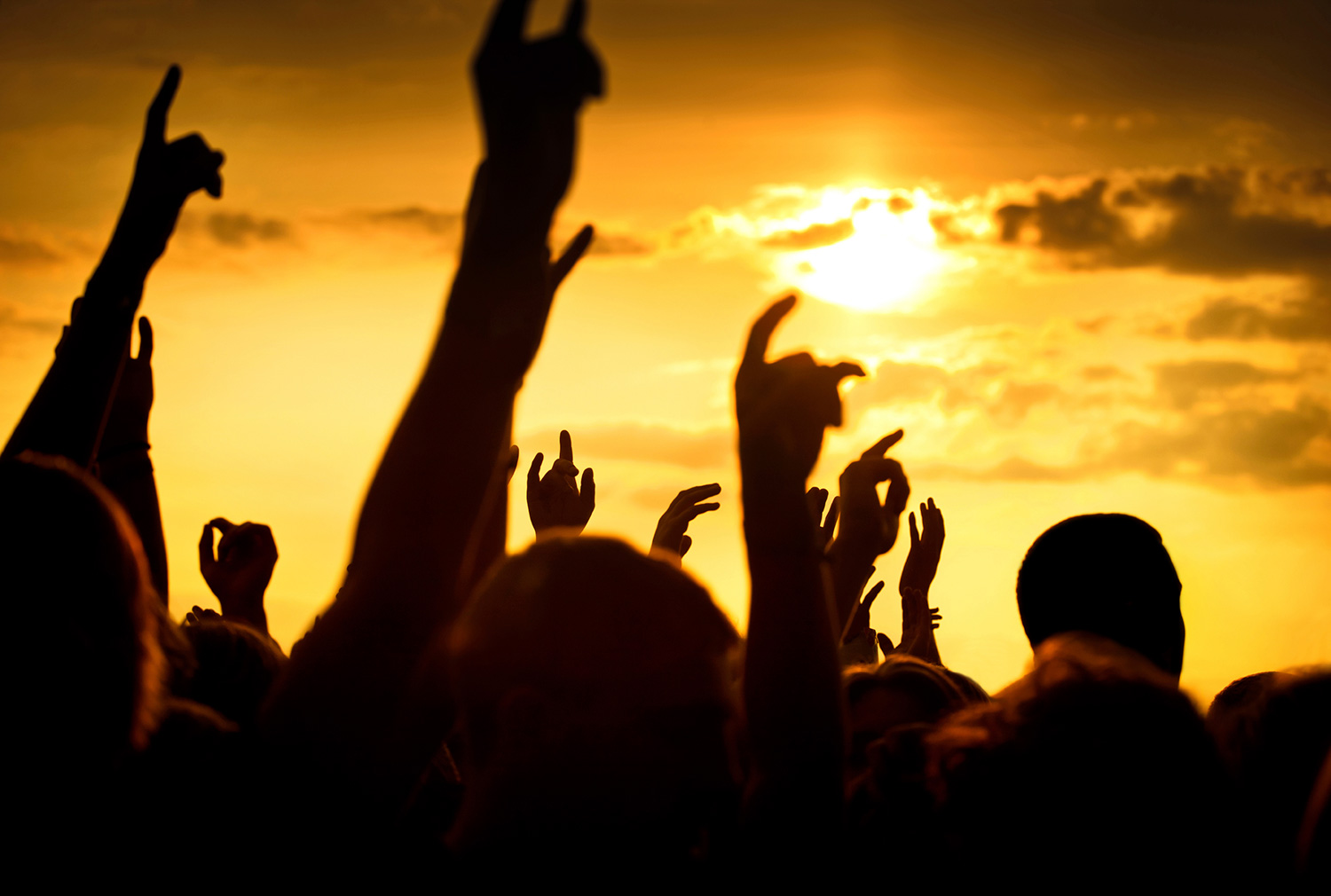 Volunteer - Lendrick Lodge