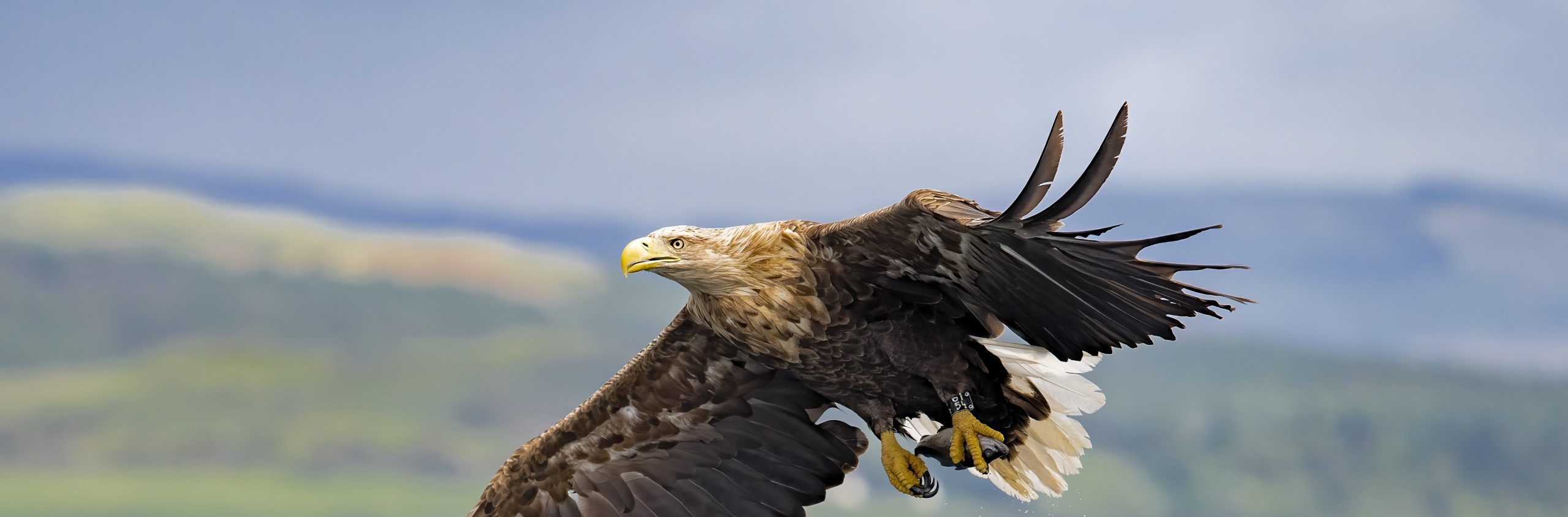 Spiritdance: Holy Water, Sacred Breath - Autumn 2024 - Lendrick Lodge